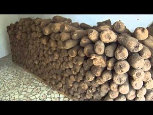 L'igname très prisée : KPONAN