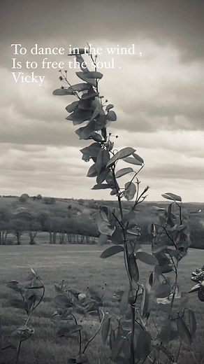 Dancing in the wind . | Midlands Storm Chasers U.K