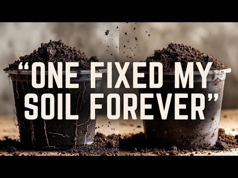 Wood Ash vs Compost I Mixed Both Into Bad Soil — One Completely Changed It