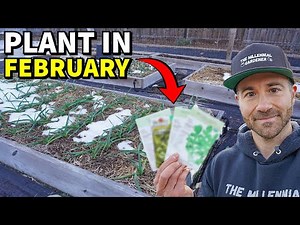 44 Veggies You Can Plant In February RIGHT NOW!