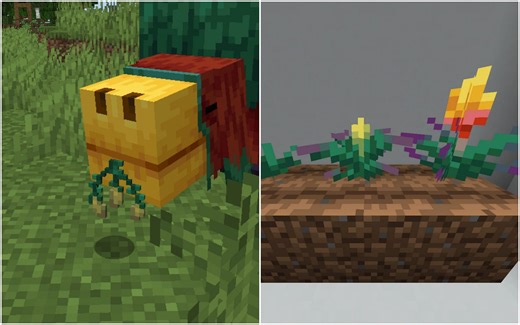 Torchflower in Minecraft 1.20 Trails and Tales update: All you need to know