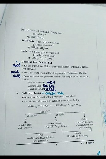 Acids bases and salts 🫡 | Class 10th chemistry chapter 2 | Handwritten notes...👍✅