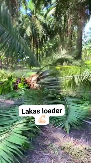 12K views · 100 reactions | Ang lakas wheel loader #strong wheel loader | Liocel Vlog | Facebook