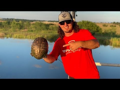 INVASIVE Pond Turtle!! {Catch Clean Cook} AMAZING!