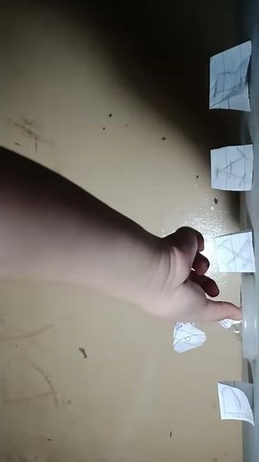 Pixar lamps animation studios