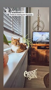 The Trouble Notes on Reels | Facebook