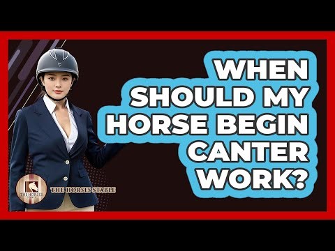 When Should My Horse Begin Canter Work?