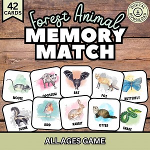 Forest Animal Memory Game, Matching Activity, Visual Discernment Activities