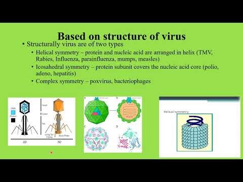Tamil Lecture video, Classification of Virus