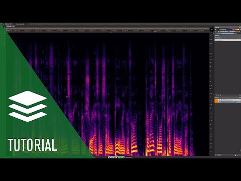 Fixing Unwanted Plosive Sounds and LF Control | SpectraLayers Elements Tutorials