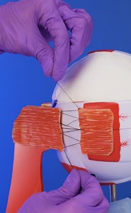 Understanding Common Medical Procedures | Green Bean