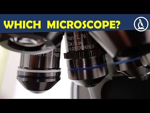 🔬 Choosing a (more expensive) microscope | Amateur Microscopy