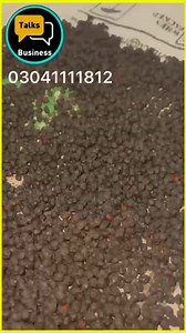 Olive oil extraction machine #foryou #manufacturing #businesstalks | Business Talks