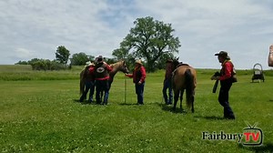 The National Pony Express re-ride just passed through Rock Creek Station State Historical Park on their 10-day ride from St. Joseph, Missouri to Old Sacramento, California. | Fairbury Journal-News