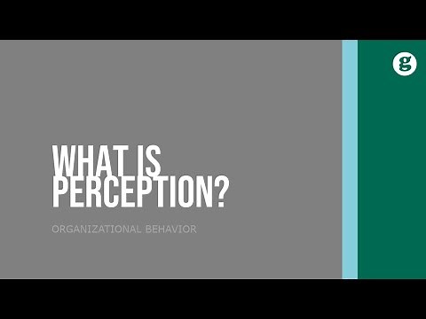 What is Perception?
