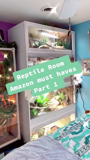 Reptile Room Ideas and Amazon Must-Haves