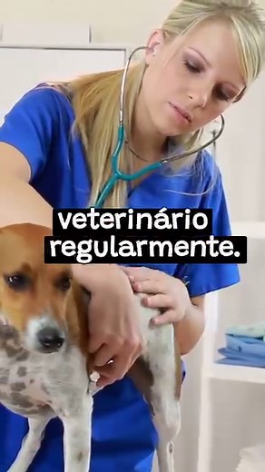 7.7K views · 43 reactions | A História por Trás das Cores dos Semáforos #semaforo #curiosidades #transito | Dicas Online | Facebook