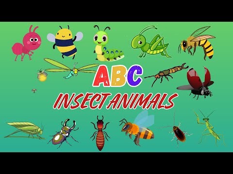 ABC Insect Animals 16TH525 | Alphabet Animals Song for Kids | Kids Smart Learning