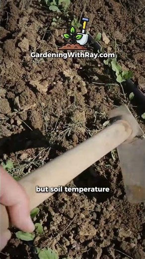 Spring Gardening Mistake #1: Planting Too Early