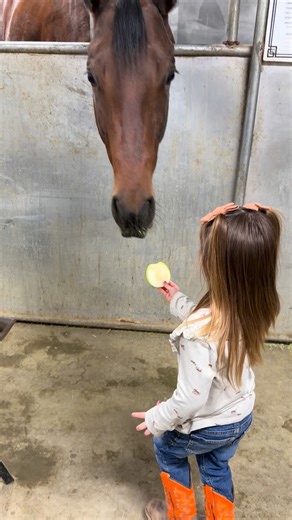 Mayzee & Her Horses 🐴 BarnLife | Dolce was starving! #fyp #blessed #horse | Instagram