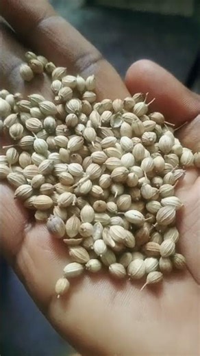 lakshmi thaggi potunda ee pani cheste👌motivational👌speech👌♥💐🙏🙏👉👍