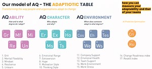 Adaptability Quotient Assessment and Coaching | HigherEchelon