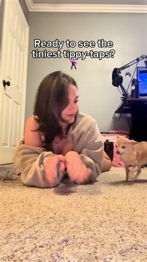 Chihuahua Stomping Dance: Hope our Neighbors Aren't Mad!