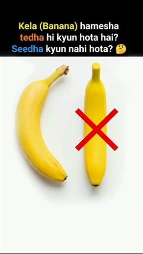 Banana Curved Kyun Hota Hai? 🍌 😳 #shorts #viral #facts