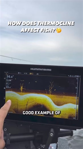 37K views · 215 reactions | Here's a great example of how thermocline can affect where fish are in the water column ✍️ #Humminbird #APEX #FishFinder #Fishing #DownImaging #Thermocline  Rick Fishback | Humminbird | Facebook