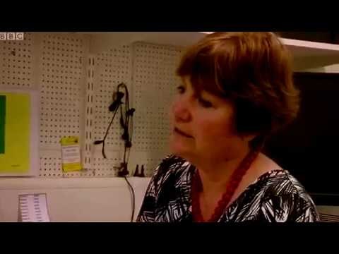BBC Documentary - Life and Deaf