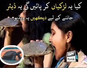 5.5M views · 118K reactions | چلو جی نیا Scene آگیا  اب لڑکیوں کو کھانا ہے کچھوا افففف  ایک نے تو کھا بھی لیا توبہ  | HaSsni Writes | Facebook