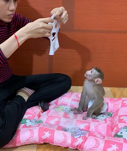 92K views · 1.2K reactions | Adorable baby monkey's funny reaction...