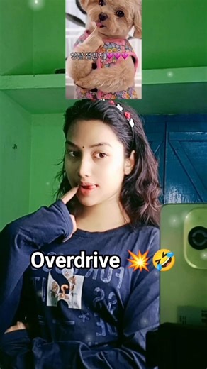 매끈매끈하다 매끈매끈한 리믹스🐶🐕🤣#remix #dance #viral #shorts #kpop#penguin #funny