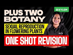 Plus Two Botany - Sexual Reproduction in Flowering Plants - One Shot Revision | Xylem Plus Two