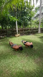 105K views · 2.3K reactions |  Exercises lang naman pala sa GUARDIANS... Pampalakas. #fggftingkala #StarsEverywhere #followerseveryone | PGBI ALAB Chapter | Facebook