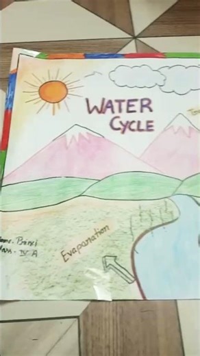 water cycle (science project)🧐