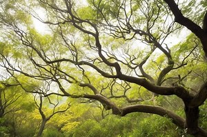 Batang : Jenis-Jenis, Struktur Bagian Tumbuhan dan Fungsinya | Kids