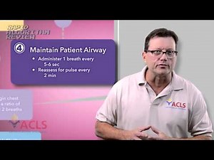 Rapid Algorithm Review Basic Life Support by ACLS Certification Institute