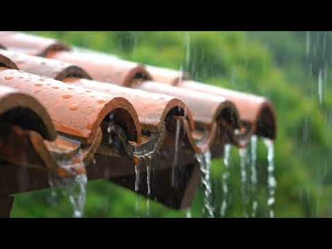 Relaxing Rain Sounds on Roof for Deep Sleep 🌧️ Rain Noise for Insomnia & Stress Relief