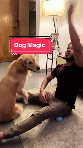 Magic Razik on TikTok