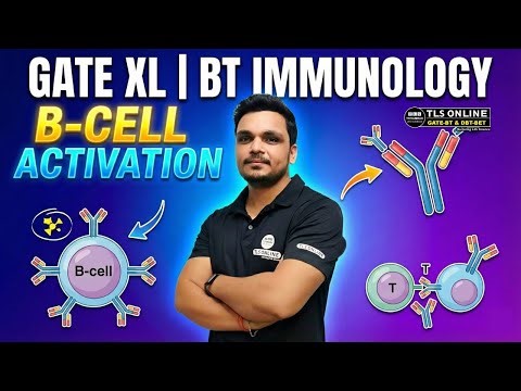 Immunology: B-Cell Activation Pathways | GATE XL/BT 2026