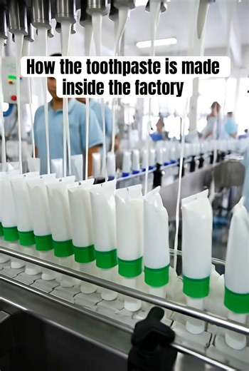 How Toothpaste Is Made From Animal Bones 🦴 | Factory Process Revealed