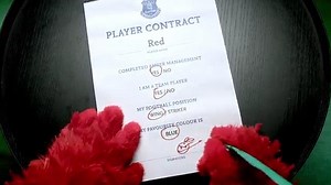 Everton-sign-shirt-sleeve-sponsorship-Angry-Birds.html