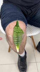 1.5M views · 11K reactions | Put it on your knee and you'll thank me | Tips and Recipes | Facebook