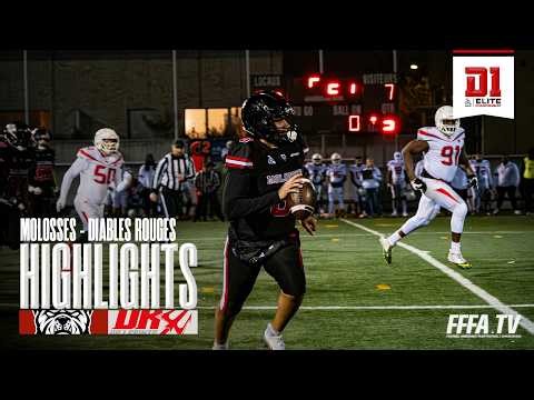 Molosses (Asnières-sur-Seine) - Diables Rouges (Villepinte) | WEEK 5 | Match Summary | D1 2025-2026