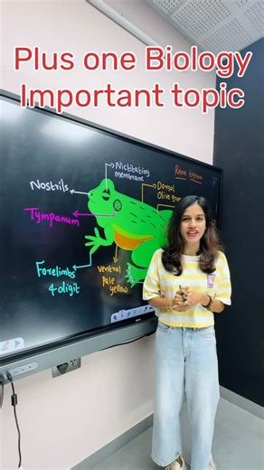 𝗦𝗡𝗘𝗛𝗔 𝗣𝗥𝗔𝗩𝗘𝗘𝗡 on Instagram: "Morphology of frog🐸 . . . . #plusone #biology #exam #frog #topic #easy #fewminutes #easylearn #neet #reel #viral"