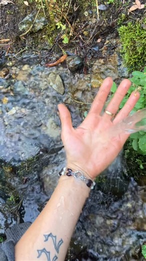 alexania helena on Instagram: "drip drop on the earth 😼🌊 w/ @ommingbird_ fresh spring water is pure & thriving with life. all water is interconnected and wise, holding cellular memory. when we drink the waters we receive her powers. finding spring sources is so exciting for me. we tend to stumble upon refreshing natural springs out in nature often. the website "findaspring.org" is a great resource for fill up spots all over the country, even if you live in a big city. the quality of water we i