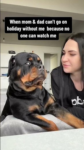 Life With A Rottweiler 🤣