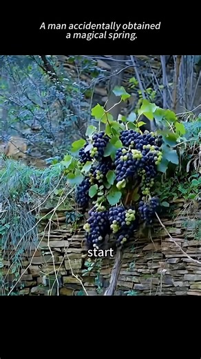 A man accidentally obtained a magical spring.#movie #drama | Cl1984334t0