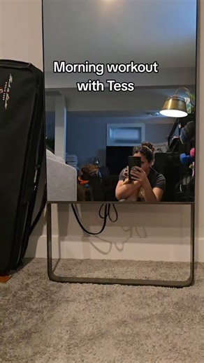 Abby Jimenez on Instagram: "I love how she just camps out behind me to yell at my back 😂 #pudelpointer #Yorkie #stuntmanmike"